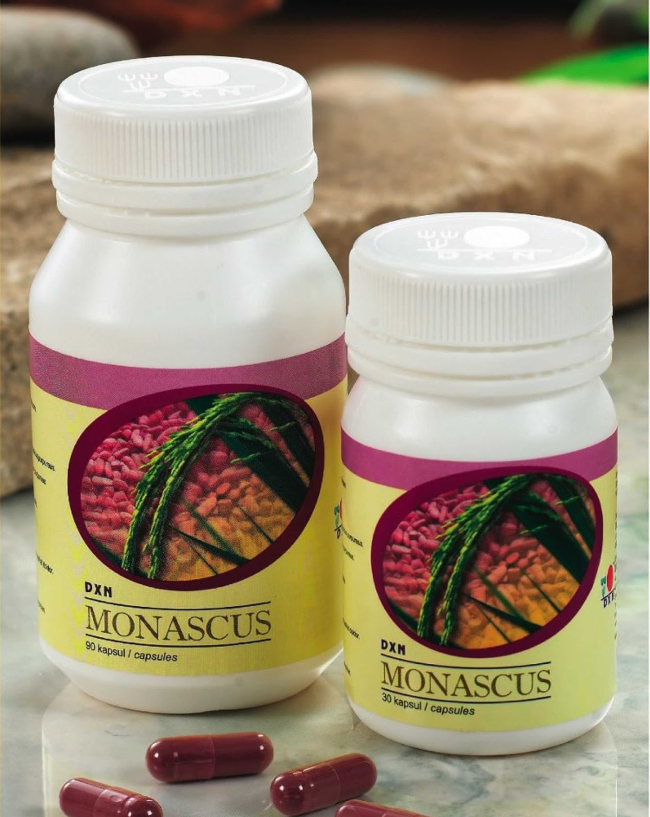 SUPLEMENTOS ALIMENTICIOS - DISTRIBUIDORES DXN