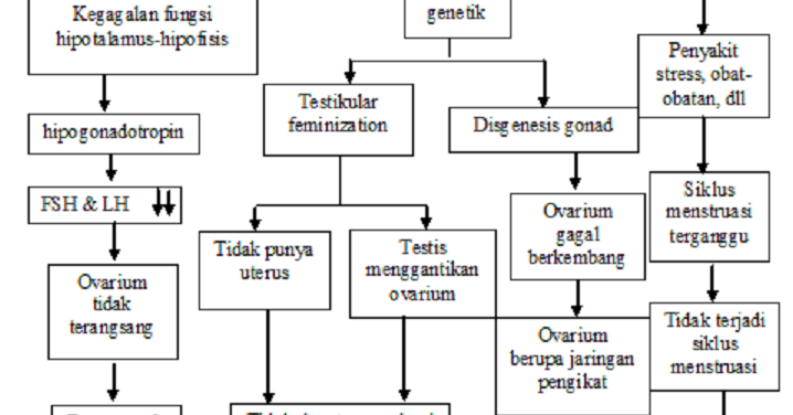 Perawat Hati: Askep Gangguan Menstruasi