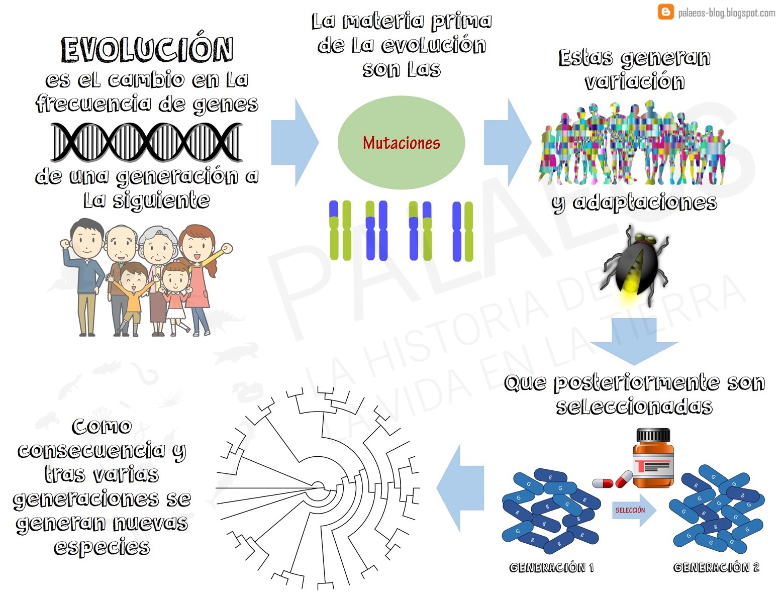 Palaeos, la historia de la Vida en la Tierra: ¿Son los fósiles ...
