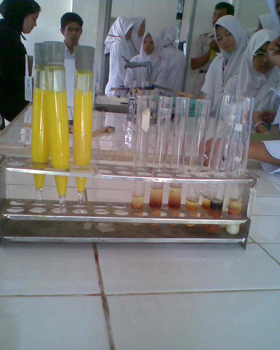 Analisis laboratorium Kesehatan: Hasil Periksaan Urine