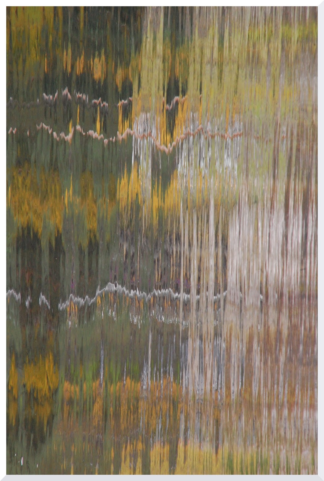 Bjørns bilder: Refleksjoner