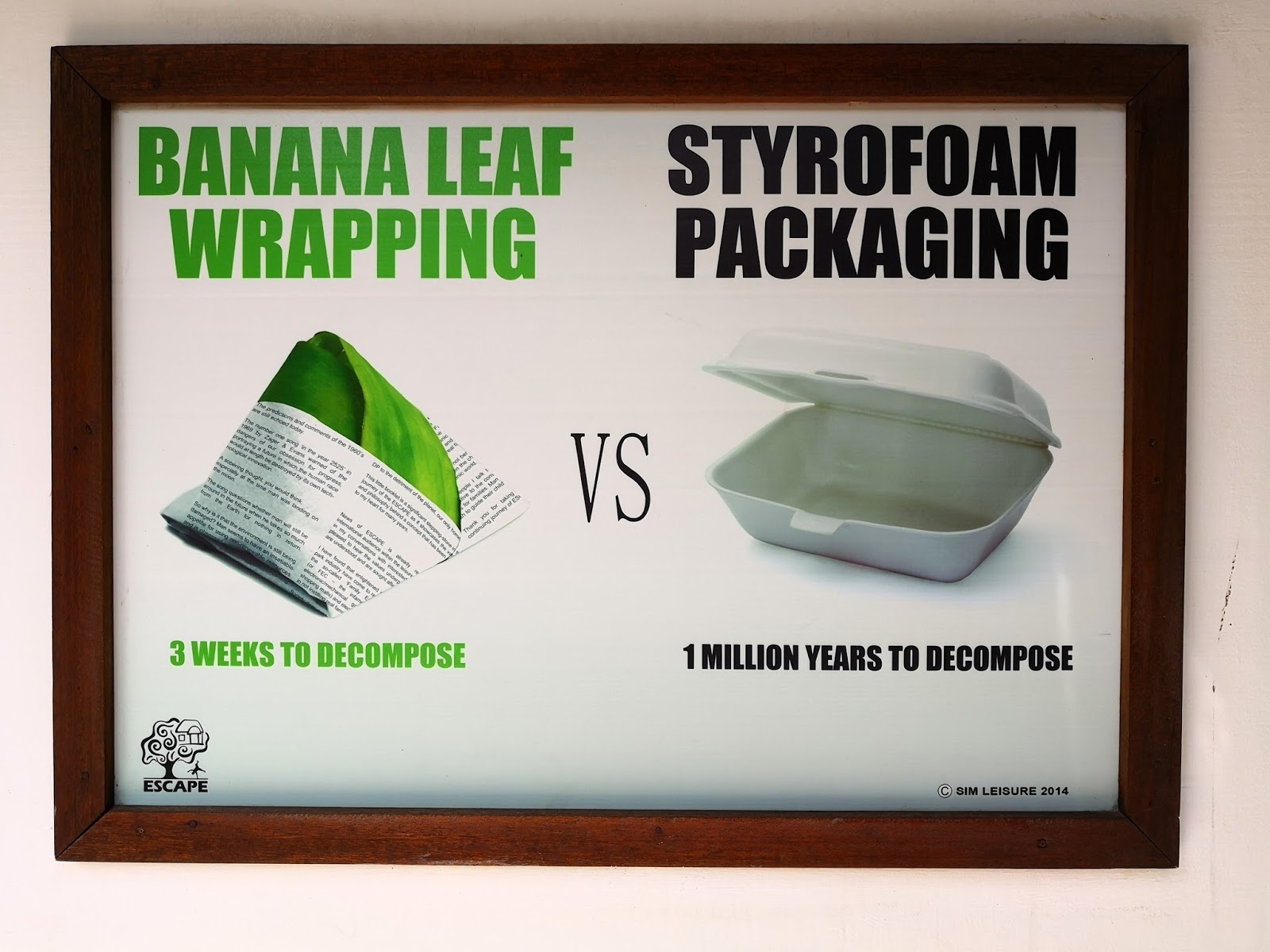 Where Do Opeh Leaf Wrappings Come From? It is not a Leaf |Tony Johor ...