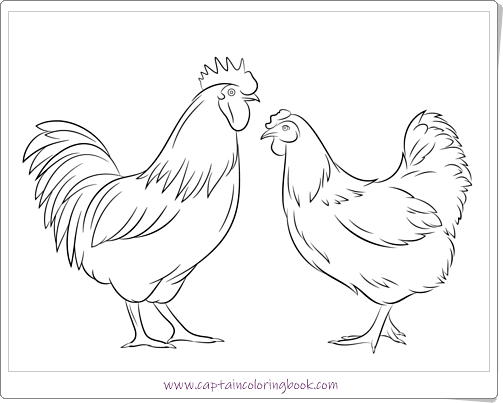 Chicken Wings Coloring Pages Coloring Pages
