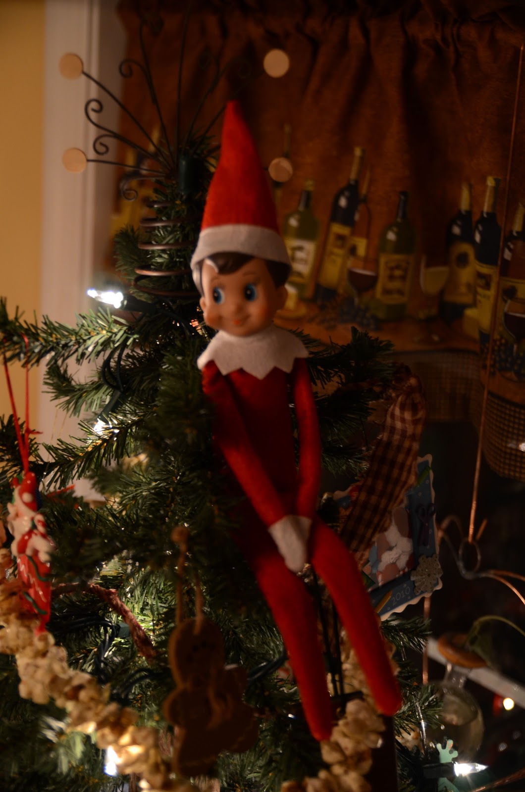 Meet Bo - Crockett's Corner