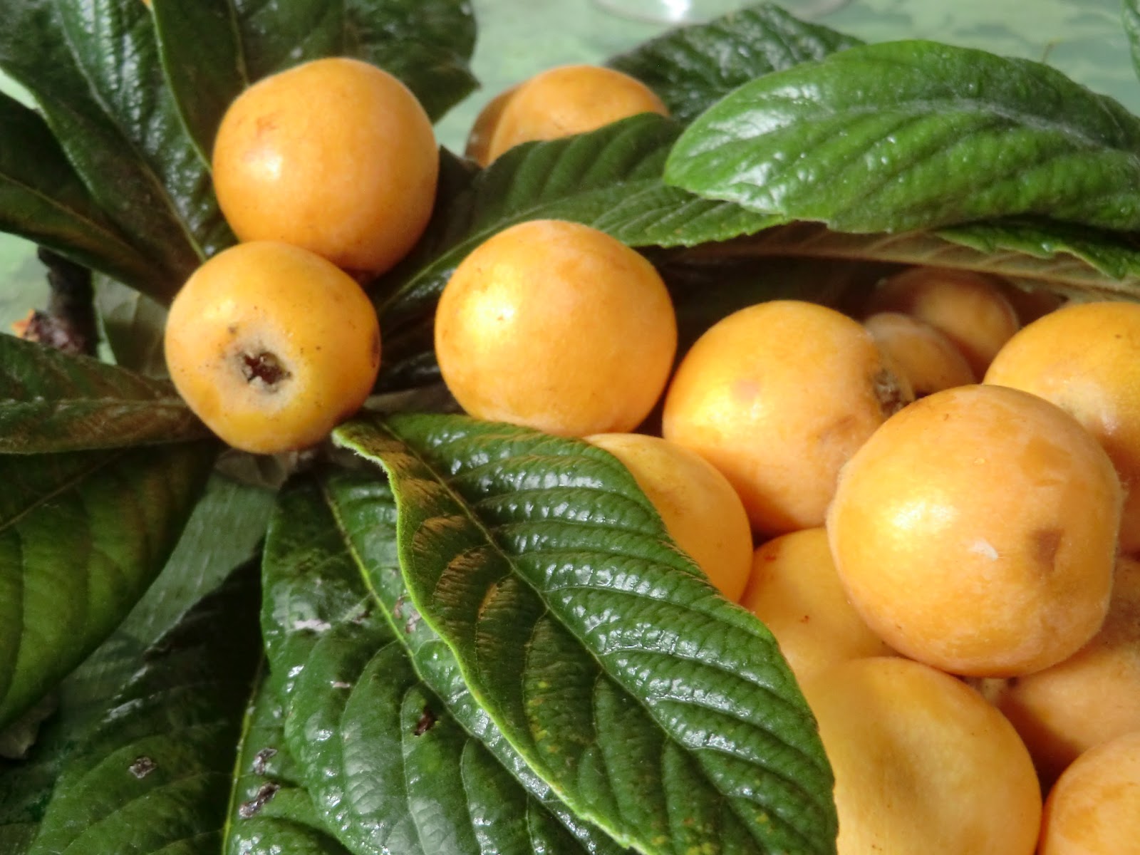 Confiture de néfles du Japon et à l'agar-agar - Ma petite cuisine ...