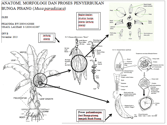 November 2013 - Frens
