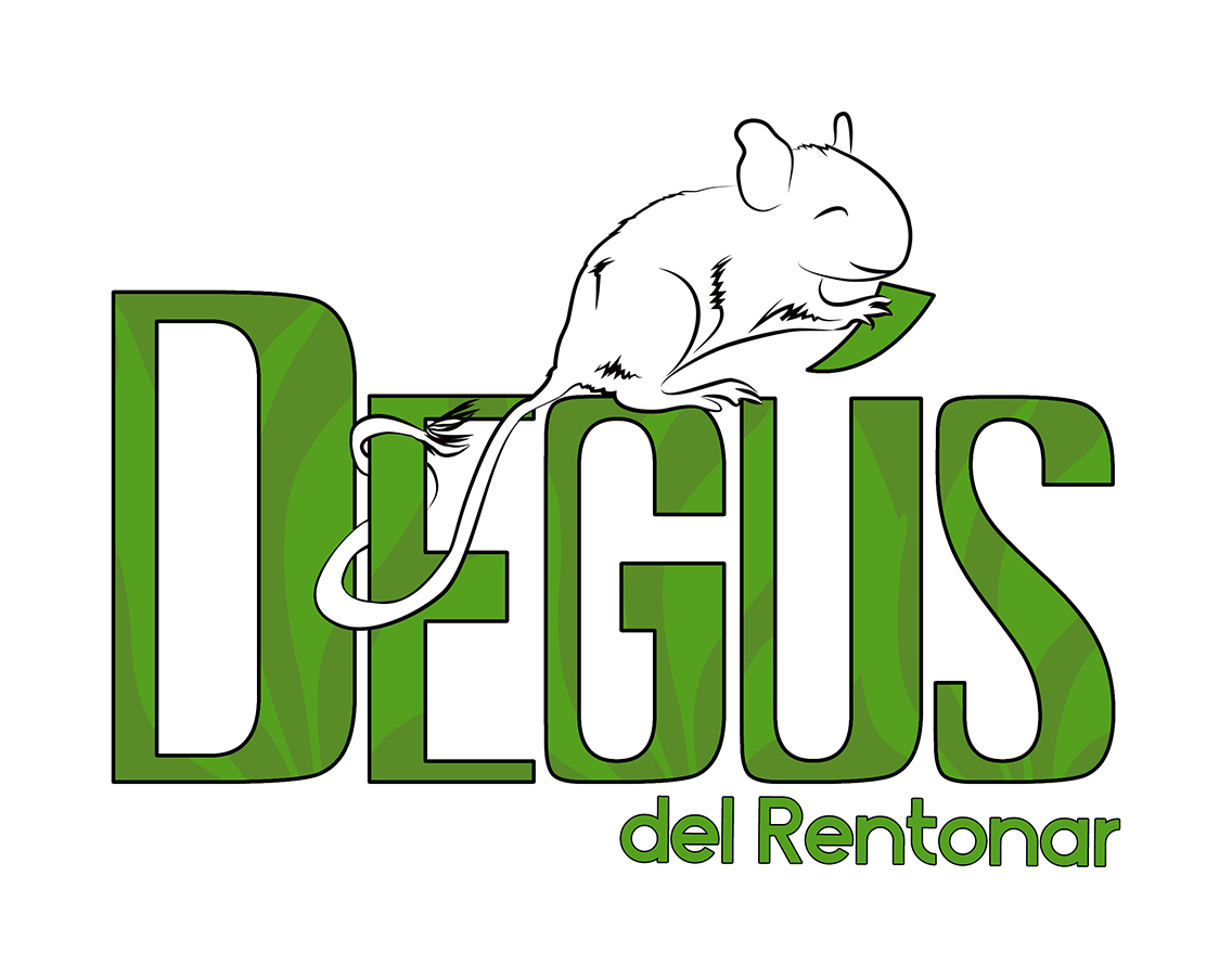 cobais del Rentonar: DEGÚ ( Ardilla Chilena )