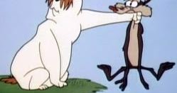 perros de peliculas: SAM-LOONEY TUNES
