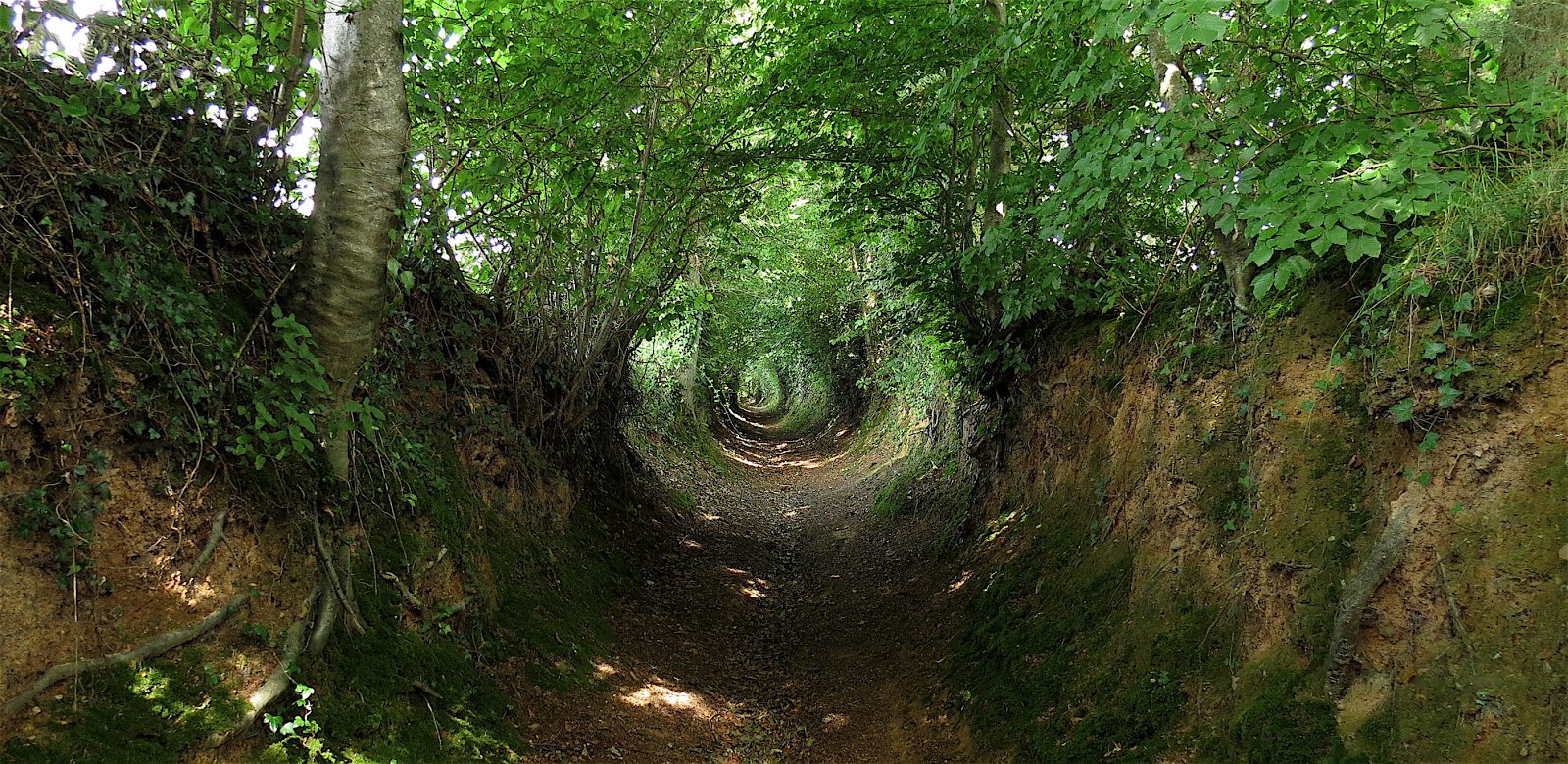 Cambridgeshire walks: History of footpaths