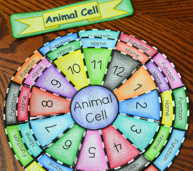 Math in Demand: Animal and Plant Cell Foldables