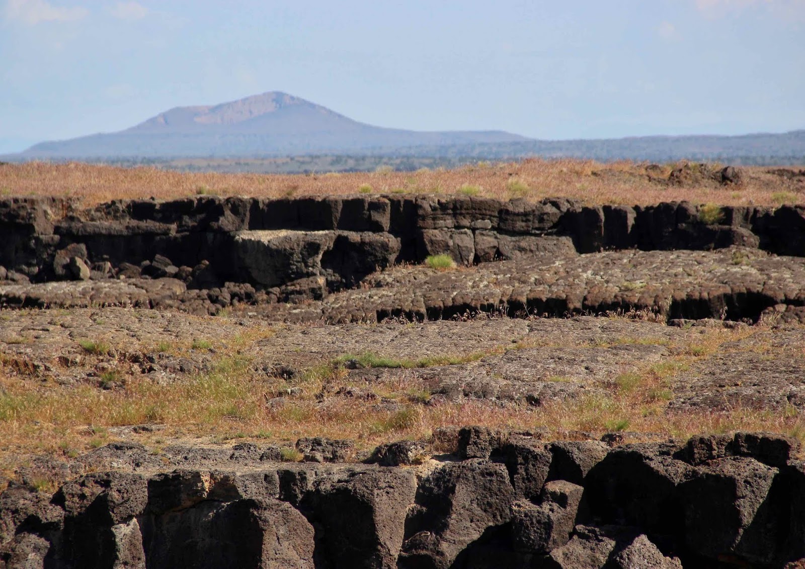 In the Company of Plants and Rocks: Volcanoes in Utah? How can that be?!
