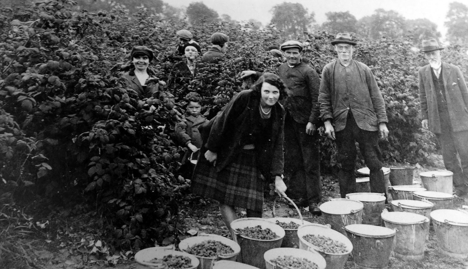 Tour Scotland: Old Photographs Raspberry Pickers Blairgowrie Perthshire ...