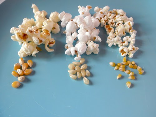 Food Pusher: Popcorn Sizes/Homemade Popcorn