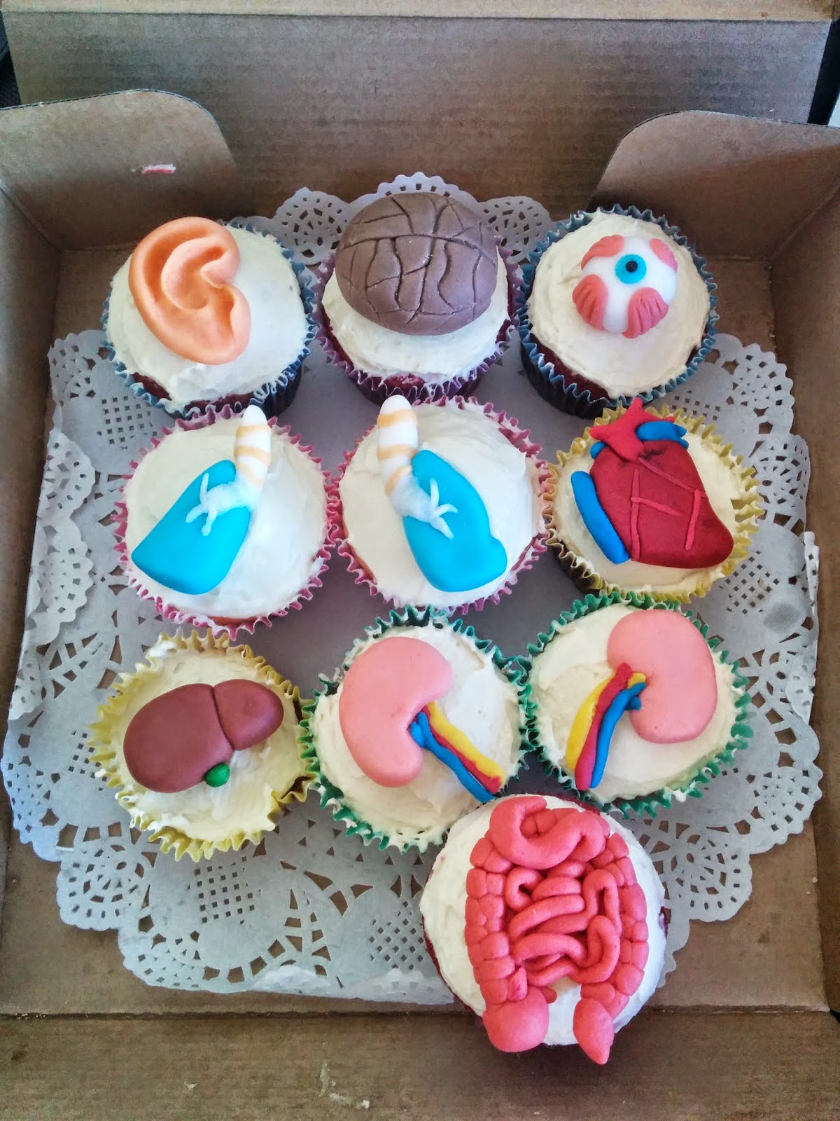 Recipe (My Additional Piece): Anatomy Organ Cupcakes