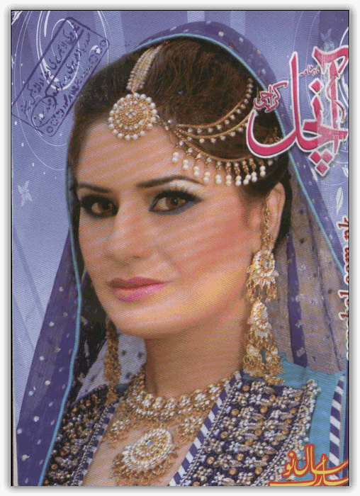 Free Urdu Digests: Aanchal Digest January 2014 Online Reading.