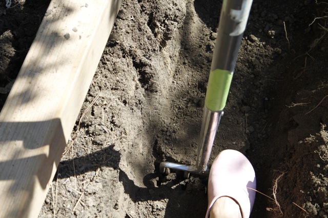 Banyan's End: Double Digging