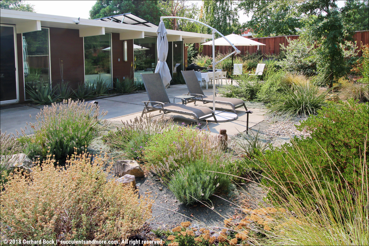 Two Walnut Creek neighbors embrace water-wise landscaping