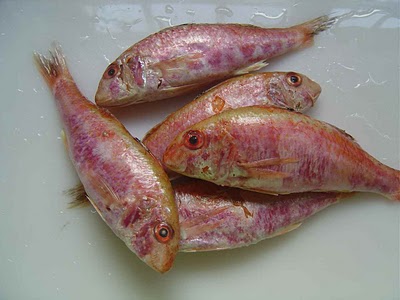 Nanda e Suas Delícias: Peroá Frito