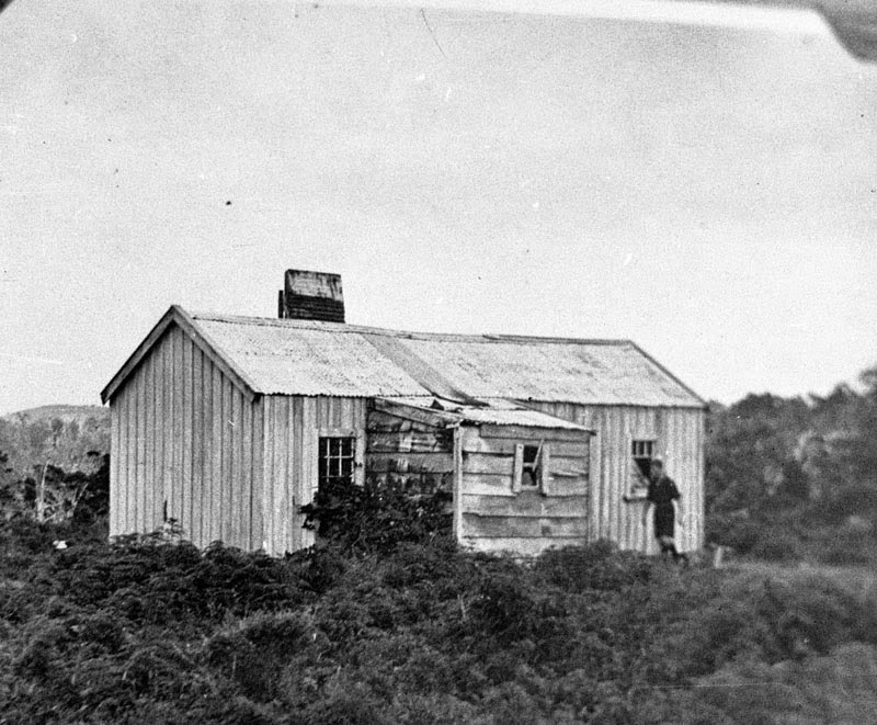 Hippie architecture: geomantic ideas and vibes