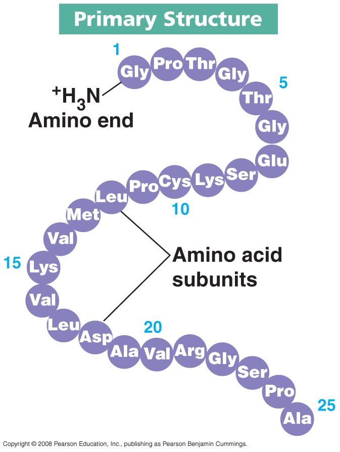 savvy-chemist: GCSE OCR Gateway Organic Chemistry C6.2h The Structure ...