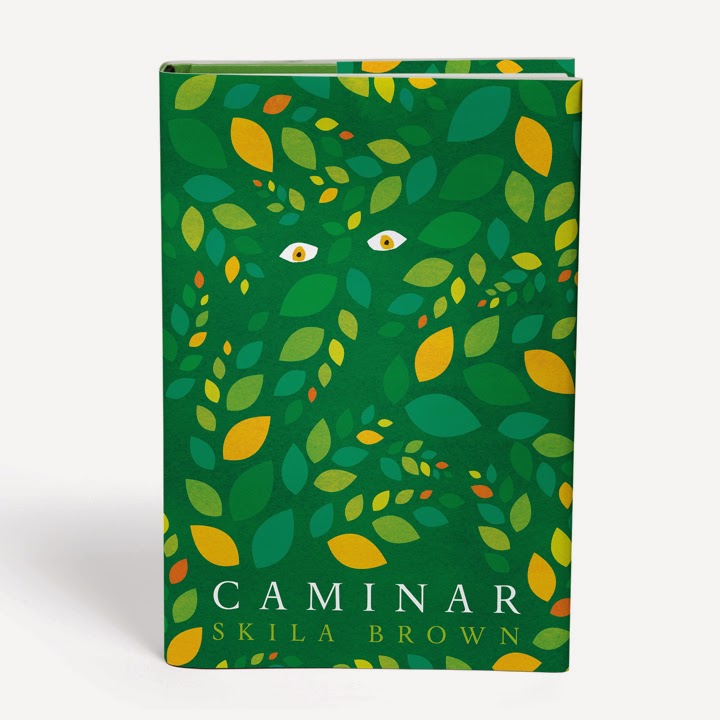 Mommy Maestra: Book Review & Giveaway: Caminar