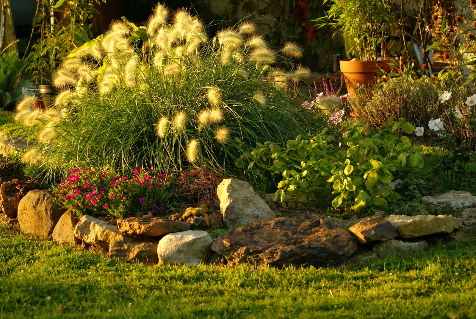 Le JarDin d'aLeCs: Rocaille (2)