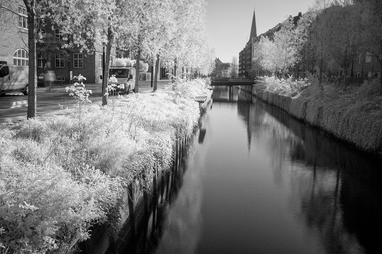this is not a print: Fuji x100 infrared photography