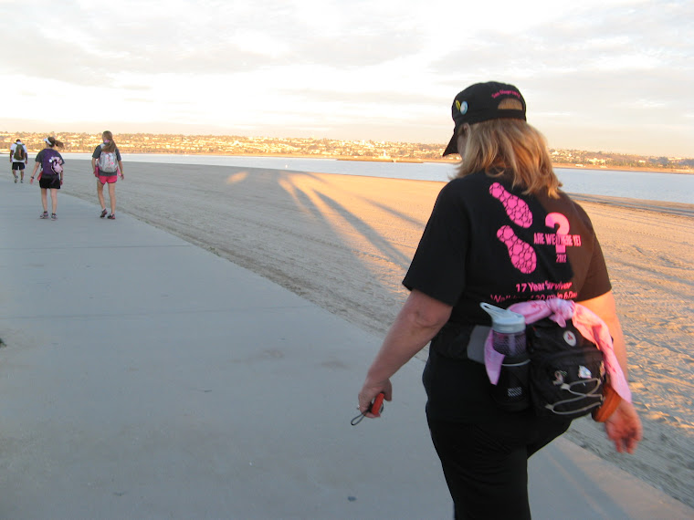 Cathy's 3 Day Walk- continues...: A stroll down memory lane....