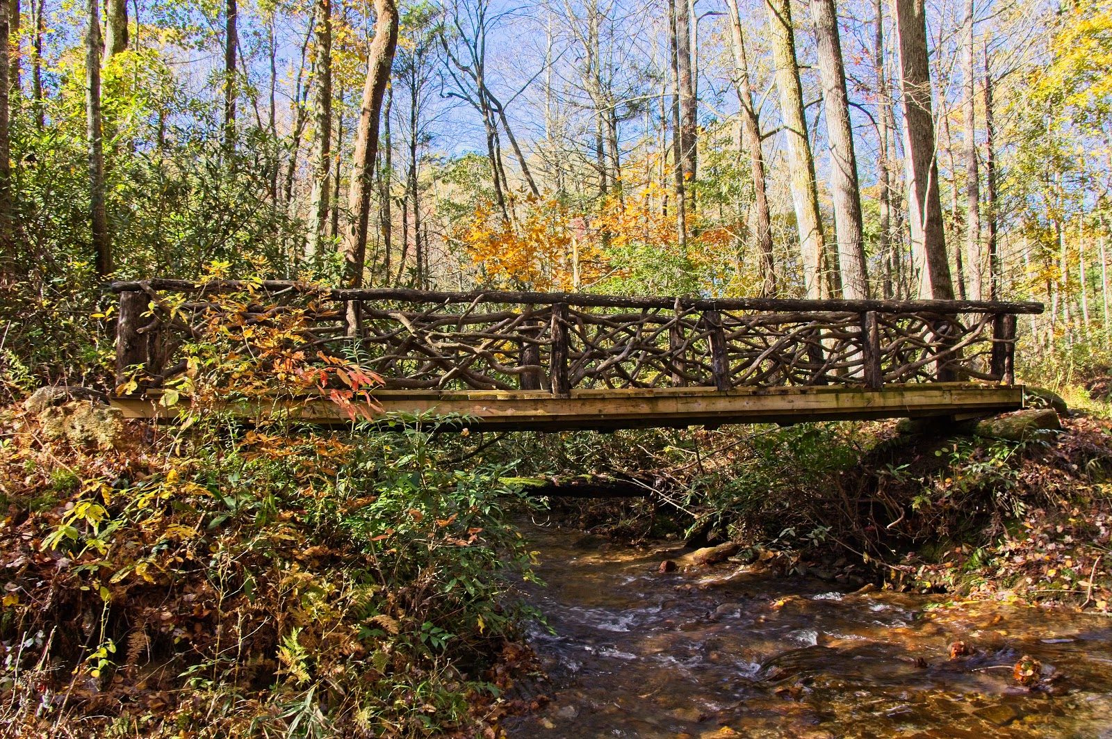 A Visit to Beech Bottom Falls and Sassafras Mountain Overlook Tower