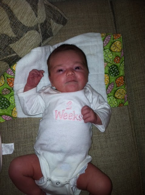 A View From The Meadows: 2 Weeks Old