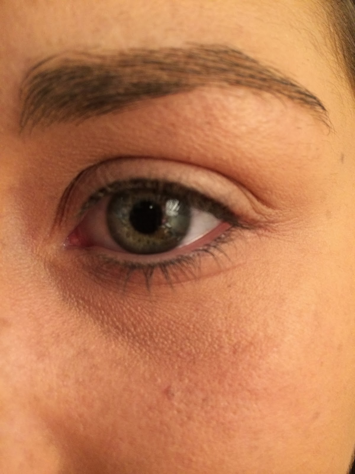 The MakeupAddictx3 *A Glimpse Into the Life of a Makeup Addict*: Dalton ...