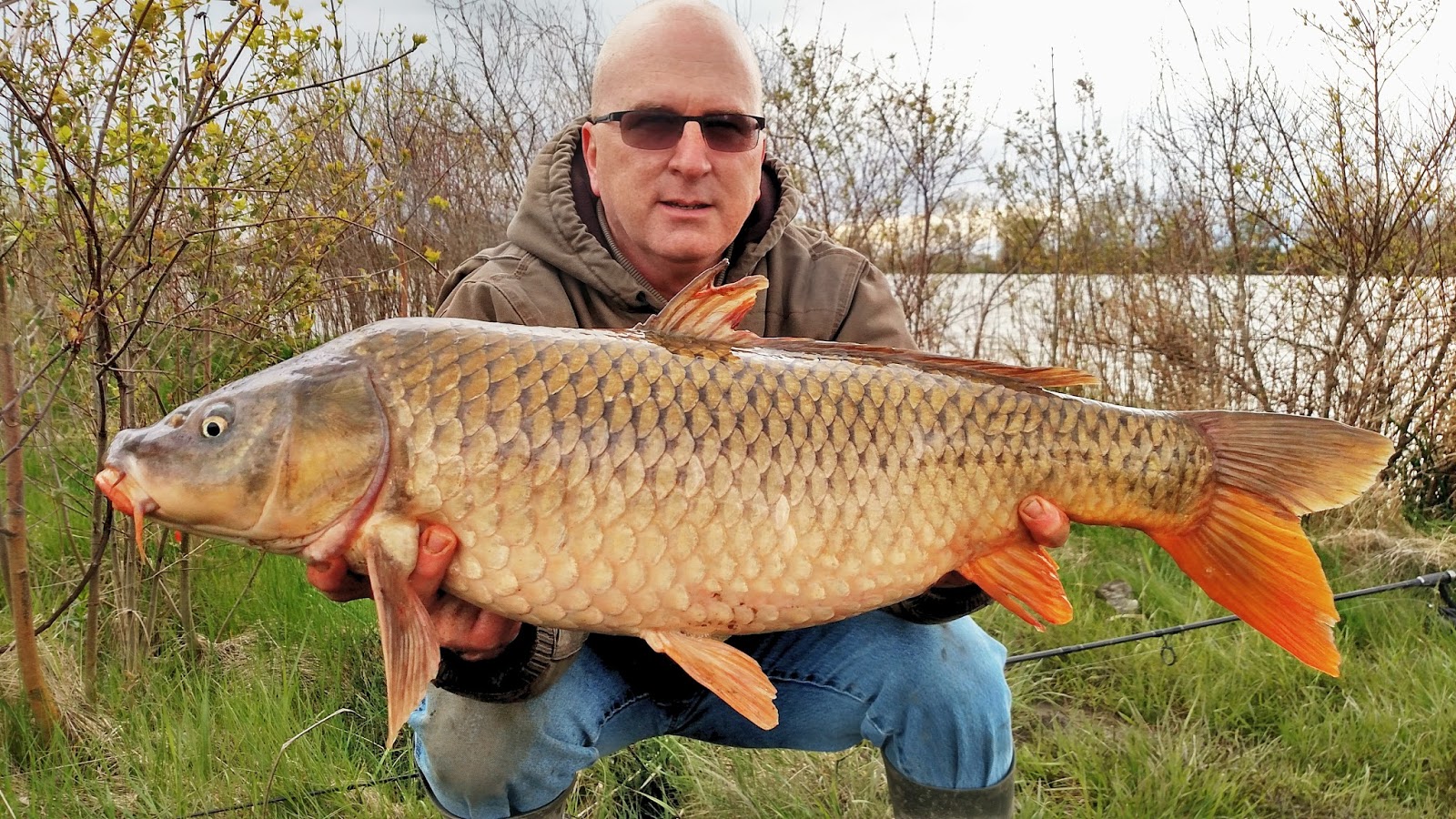 Michigan Carp Fishing Blog 11 Tips For Catching