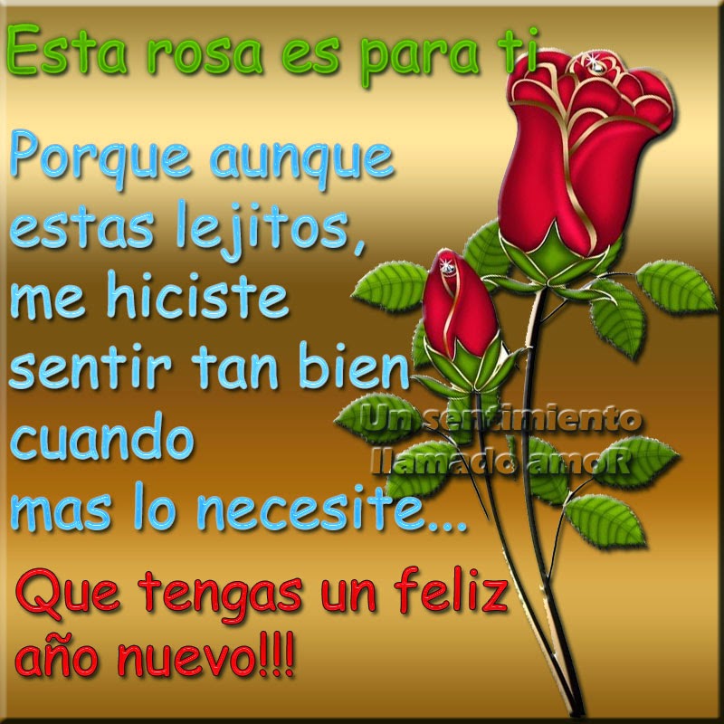 Todo Mujer: ESTA ROSA ES PARA TI