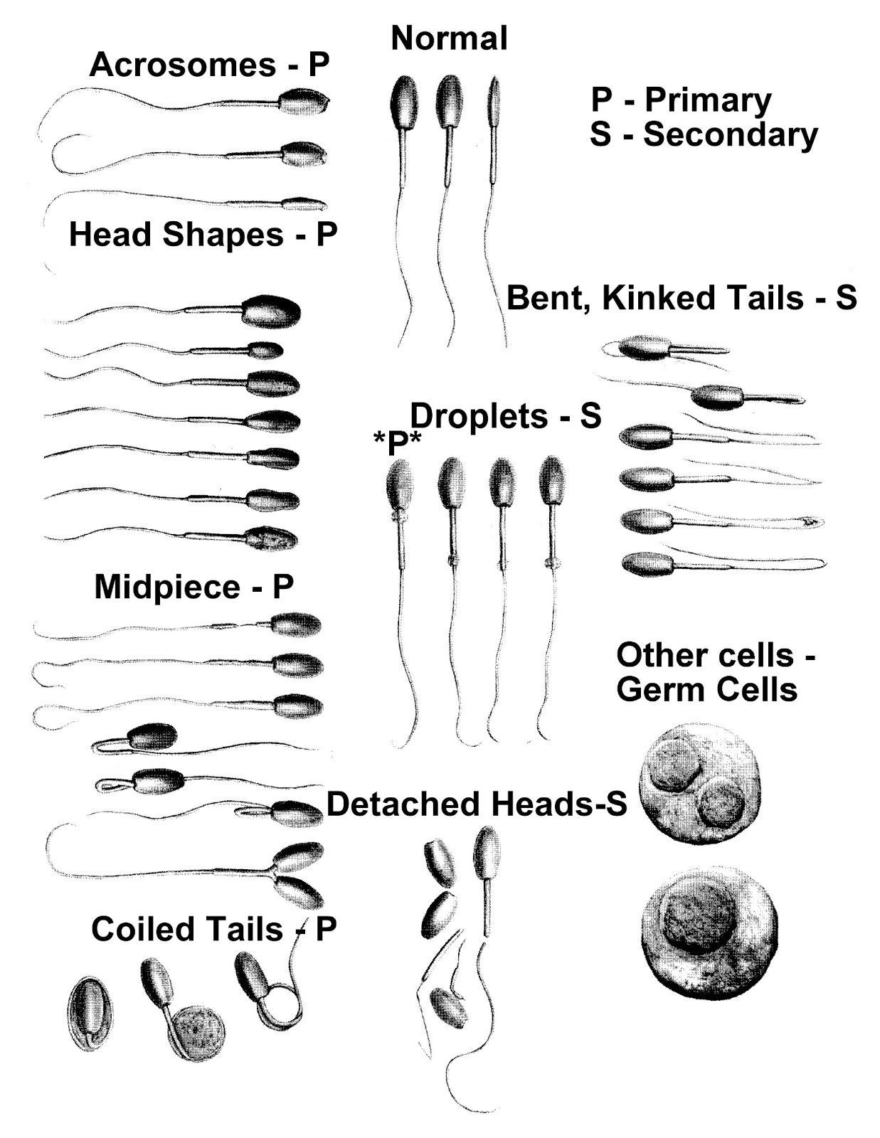 Life is a journey with 1001 crossroads.: Period after cd38