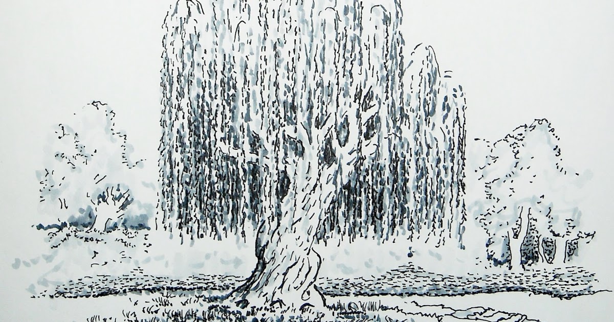 How to Draw Worksheets for The Young Artist: How to Draw a Willow Tree.