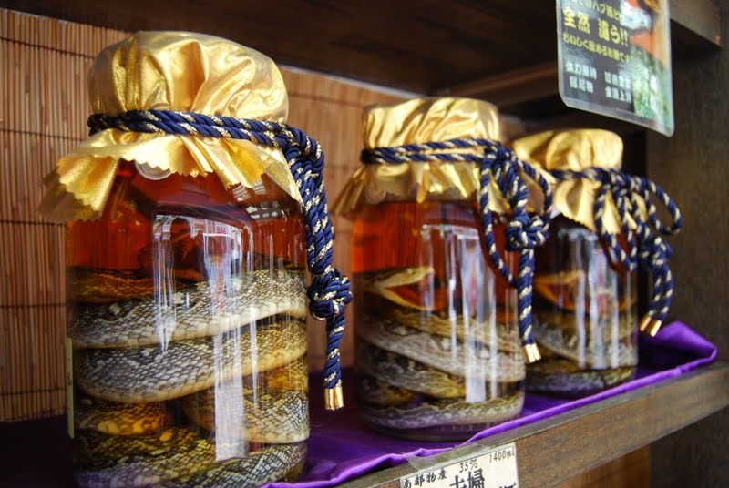 Lens Mission Blog by Sarah Fillman: Kokusai St