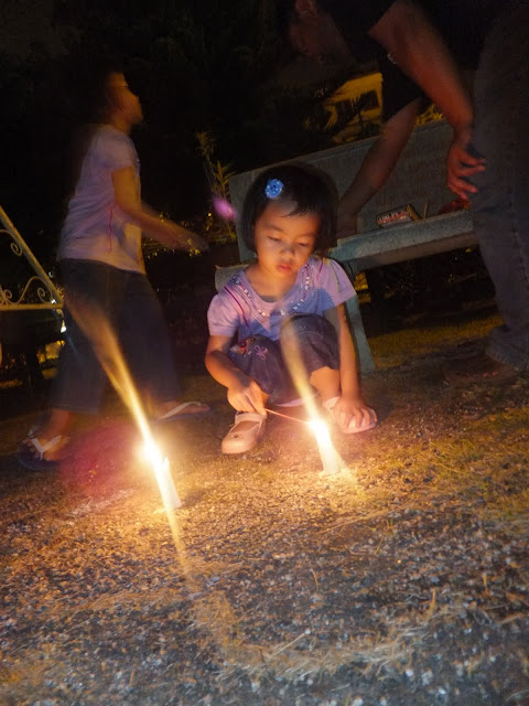 Main Bunga Api di Hari Raya