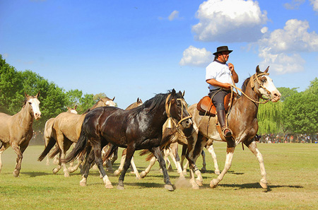 Turismo rural en Buenos Aires