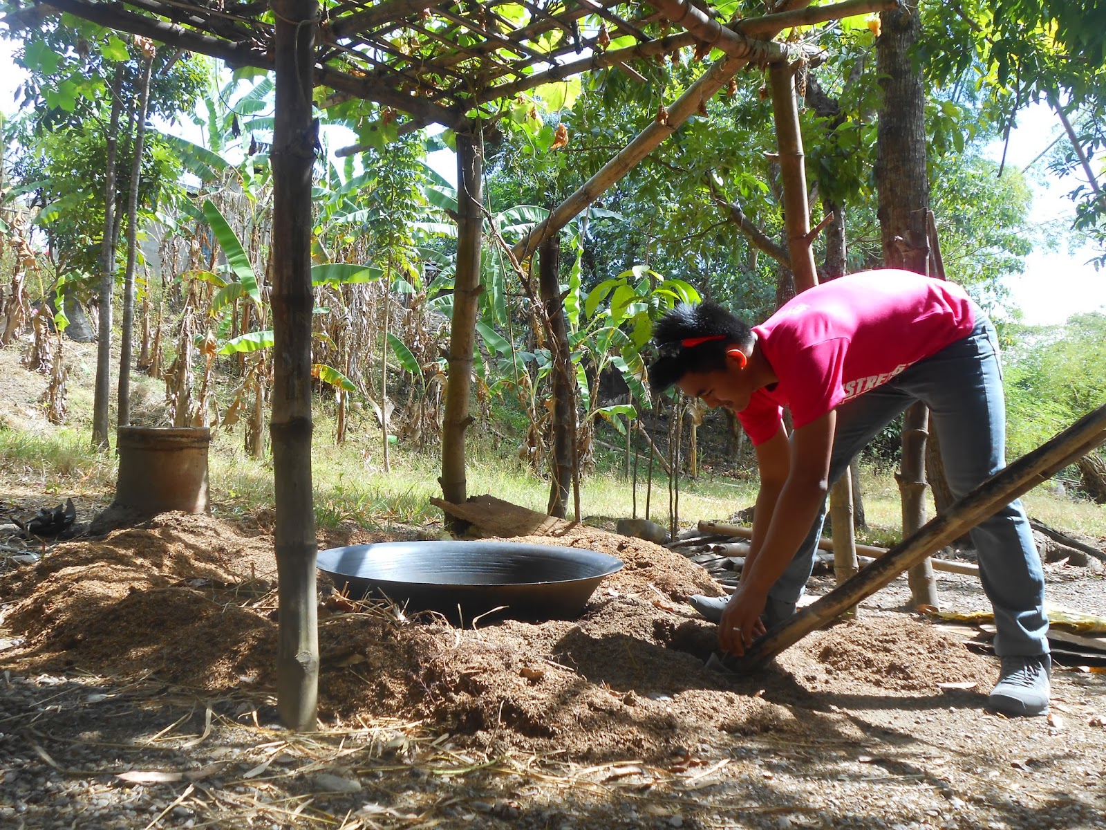 Discover the world with Kanuto: BASI REVOLT (Movement for the Love of ...