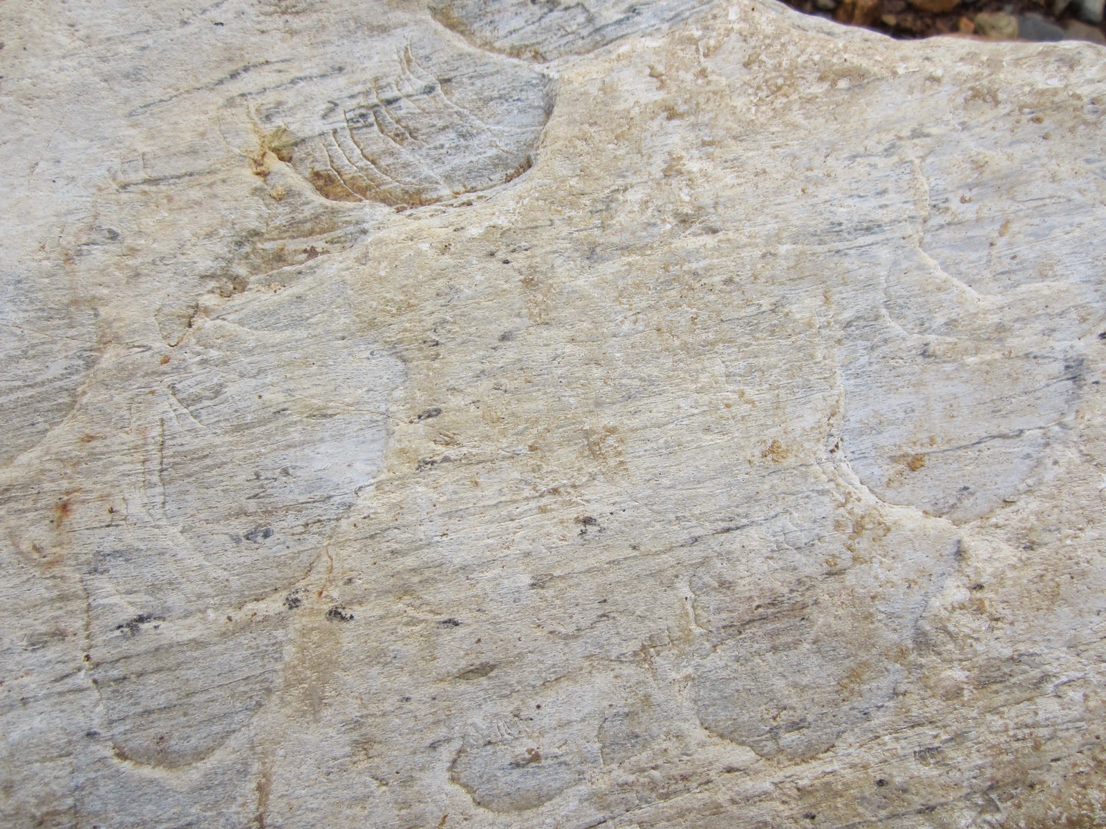 Stonehenge and the Ice Age: Crescentic gouges at Rhosyfelin