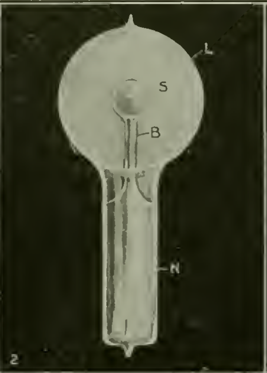 Tesla Bulbs - An Engineer's Aspect