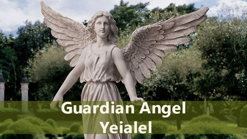 Citipati: ธันวาคม 2018