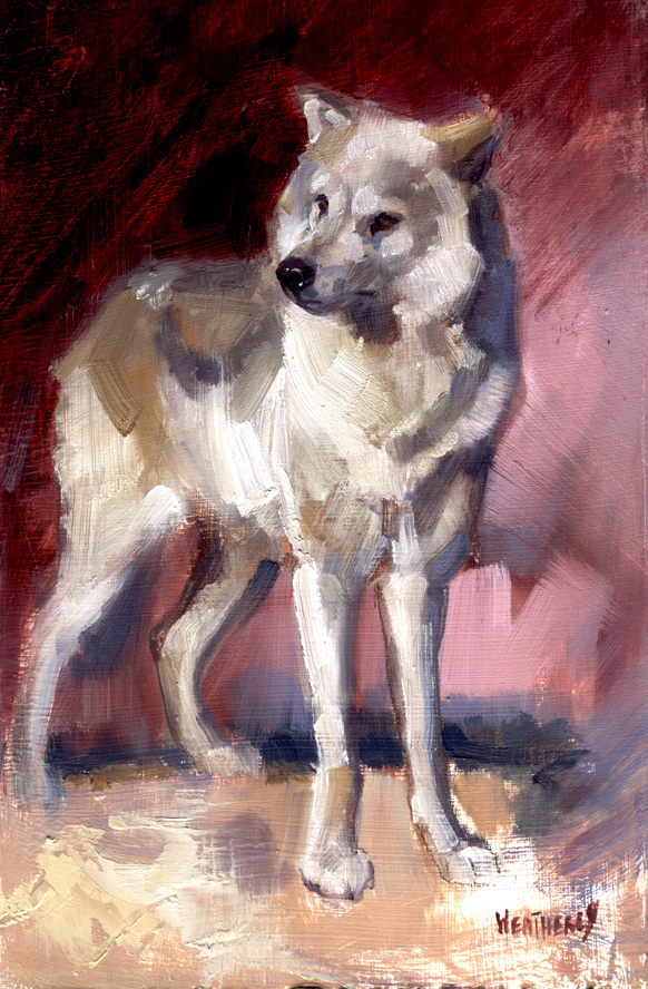 Joe Weatherly Fine Art: White Wolf