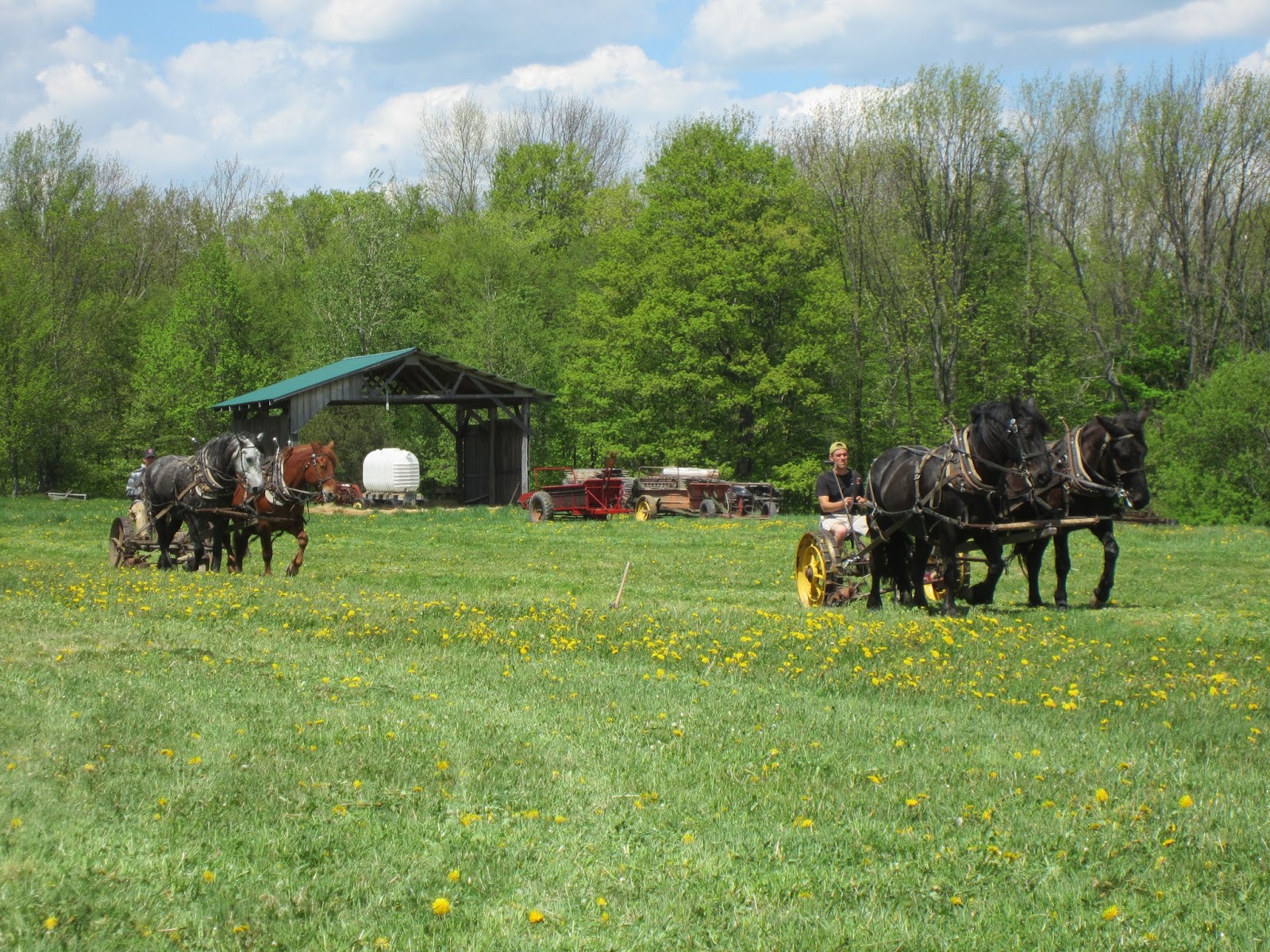 Two Spruce Farm: the end of plowing + 5 abreast + pasture clipping