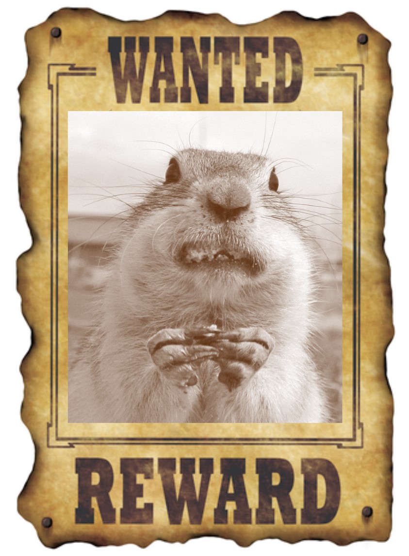 Ground Squirrel Killing Day