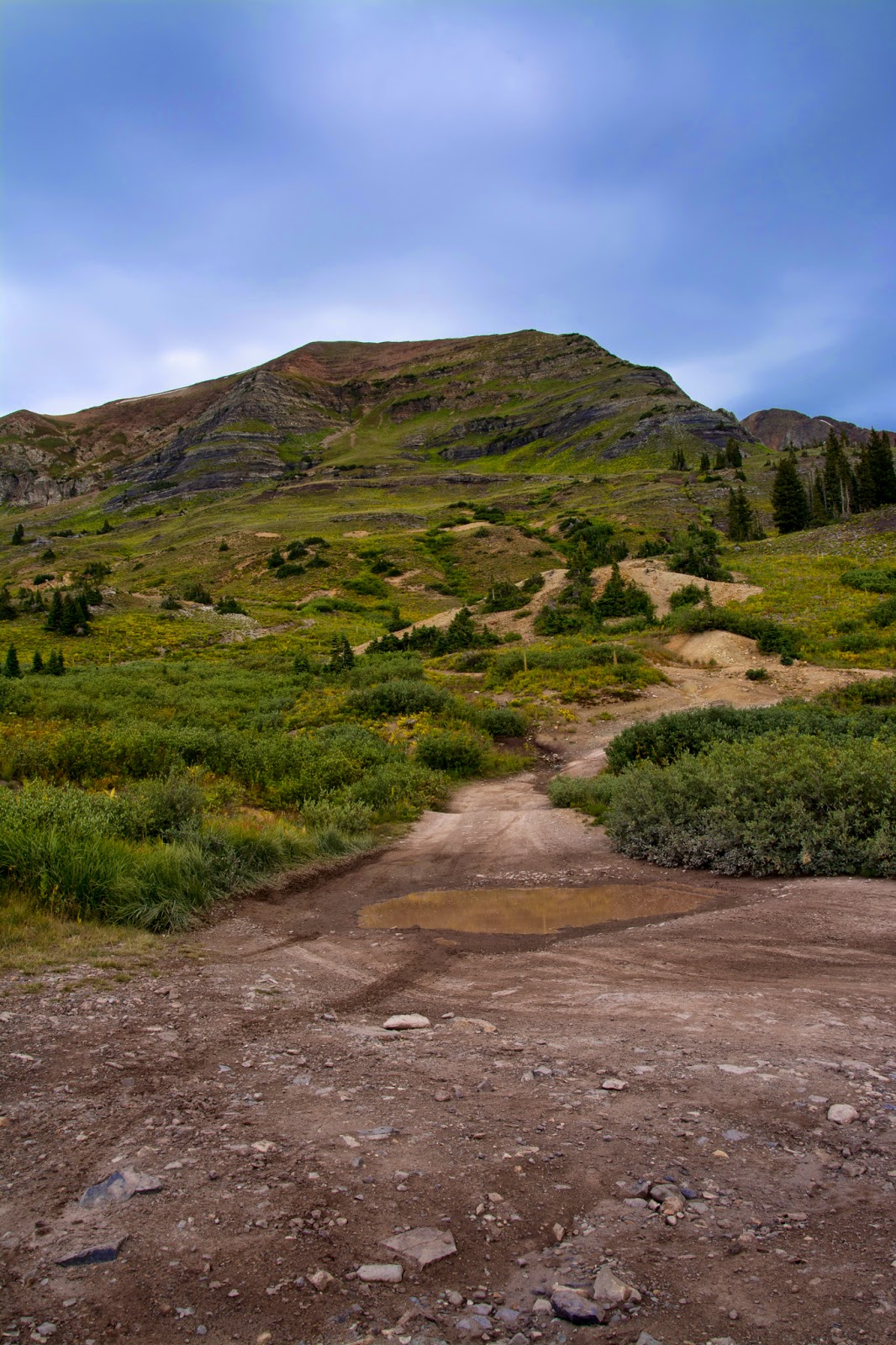 A Tree Falling: Ruby Peak
