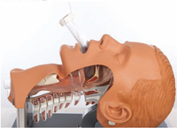 On Scene with theEMSstore: The Single-Use Supraglottic Airway ...