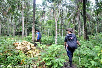 Hiking matters #283: Mt. Mabilog above the beautiful lakes of San Pablo ...