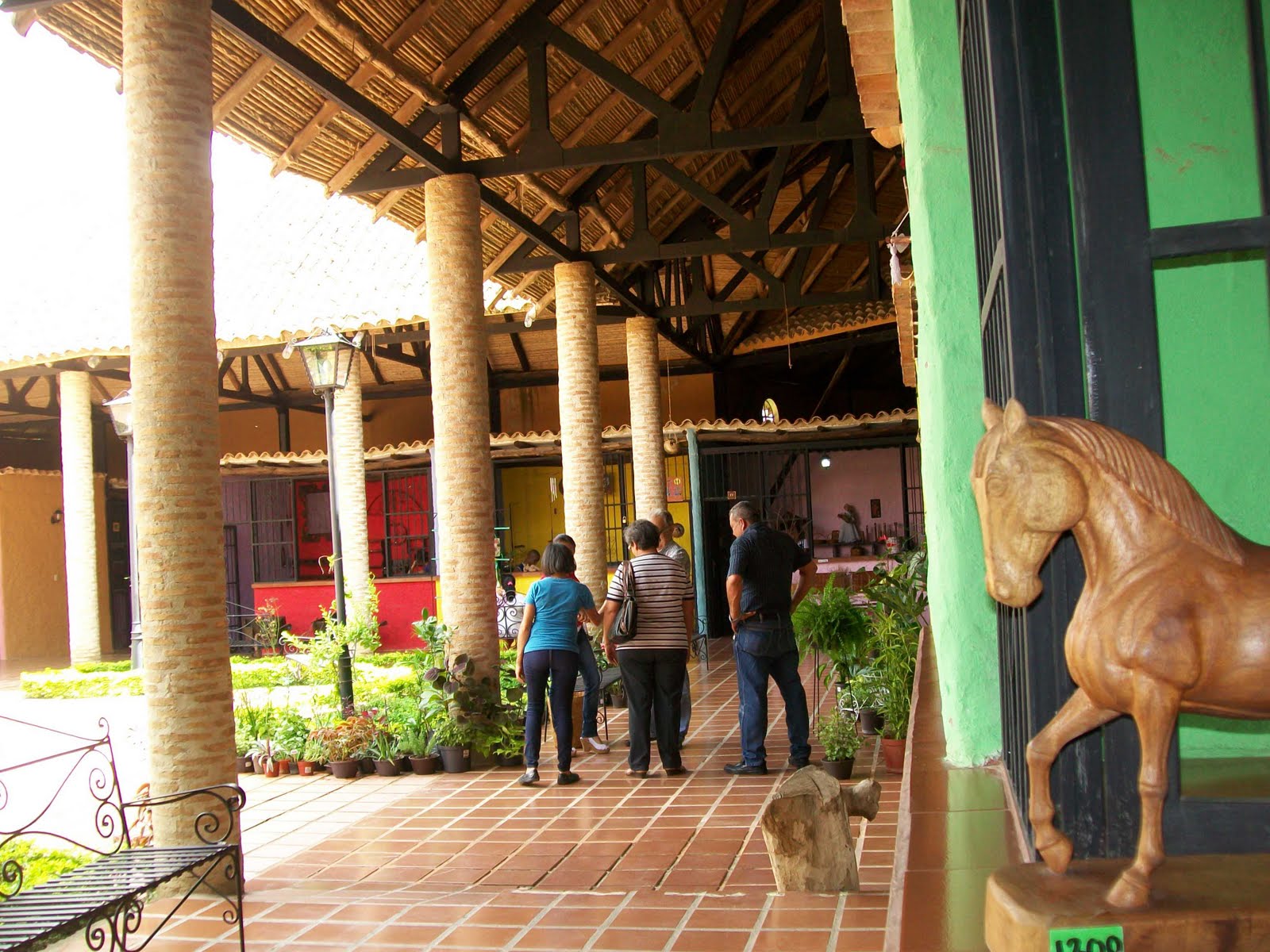 Bejuma al día...: Bejuma Jardin de Carabobo