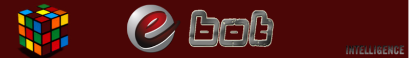 EBot Intelligence : INFO